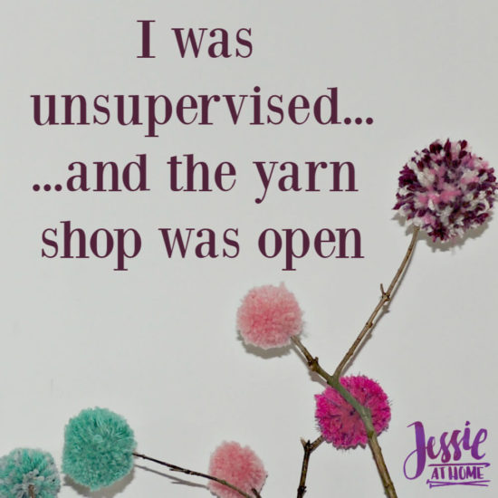 Silly Saturday 2/9/19 - unsupervised yarn shopping - Jessie At Home