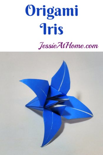 Origami Iris - A beautiful, dimensional flower that is sure to impress!